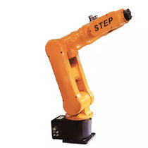 Wall-mounted robot - All industrial manufacturers