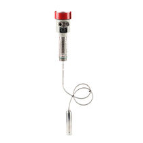 High-temperature level sensor, High-temperature level probe - All ...