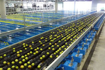 Greefa: Packing - Handling - Logistics - DirectIndustry