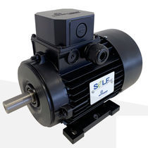 IP55 motor - All industrial manufacturers