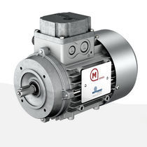 ATEX brake motor - All industrial manufacturers