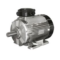 10-pole motor - All industrial manufacturers