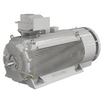 12-pole motor - All industrial manufacturers
