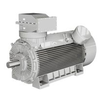 IP66 motor - All industrial manufacturers