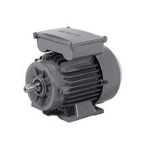 IP66 motor - All industrial manufacturers