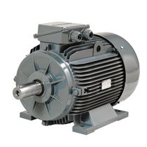 IP66 motor - All industrial manufacturers