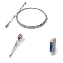 High-temperature level sensor, High-temperature level probe - All ...