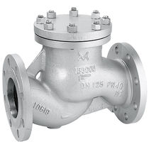 Steam check valve - All industrial manufacturers