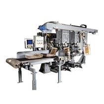 Automatic placer - All industrial manufacturers