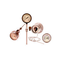 Explosion-proof thermometer - All industrial manufacturers
