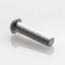 Button head rivet, Dome head rivet - All industrial manufacturers