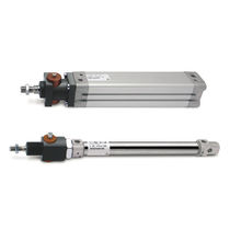 Pneumatic rod lock - All industrial manufacturers