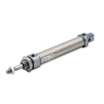 Cylinder with through rod - All industrial manufacturers