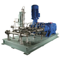 Triplex pump - All industrial manufacturers