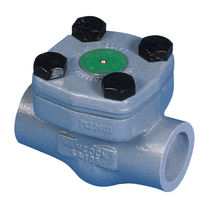 Steam check valve - All industrial manufacturers