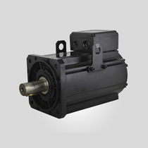Hollow-shaft servomotor, Hollow-shaft servo motor - All industrial ...