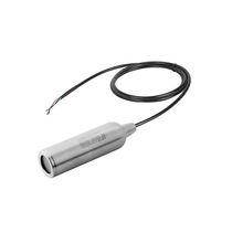 High-temperature level sensor, High-temperature level probe - All ...