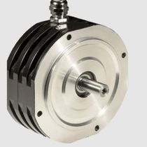 Hollow-shaft servomotor, Hollow-shaft servo motor - All industrial ...