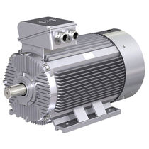 10-pole motor - All industrial manufacturers