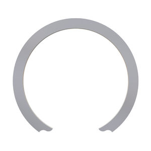 Constant section retaining ring - All industrial manufacturers