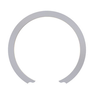 Constant section retaining ring - All industrial manufacturers