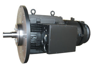 Synchronous motor - IC 410 - IC 416 - Winkelmann Elektromotoren GmbH ...