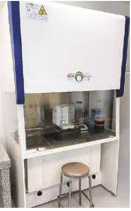 Microbiological safety cabinet - OPTIMALE series - ADS LAMINAIRE