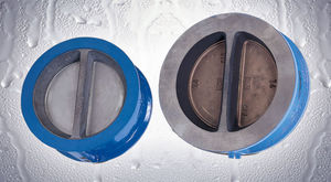 PTFE check valve - All industrial manufacturers