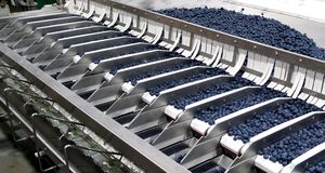 Sorting machine for the food industry - 5B - Tomra - automatic / for ...