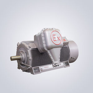 High-voltage motor - YBBP series - Jiangsu Dazhong Electric Motor CO ...