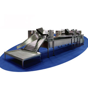 Casing cleaning machine - All industrial manufacturers