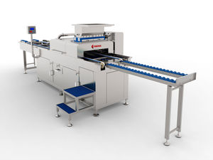 Salting machine - All industrial manufacturers