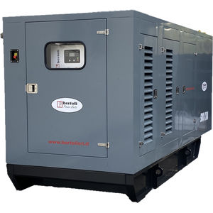 Natural gas generator set - Bertoli - three-phase / containerized ...