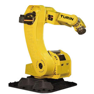 Shanghai Turin Robot limited company: Robotics - Automation ...