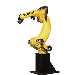 Shanghai Turin Robot limited company: Robotics - Automation ...