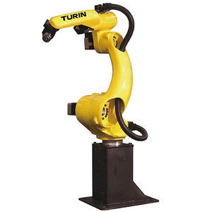 Shanghai Turin Robot limited company: Robotics - Automation ...