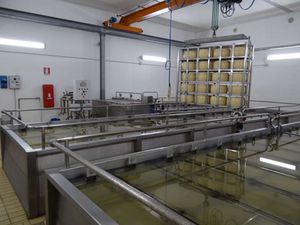 Cheese brining system - All industrial manufacturers