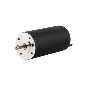 Brushed motor - 50ZYTC60-1 - Jiangsu DINGS' Intelligent Control ...