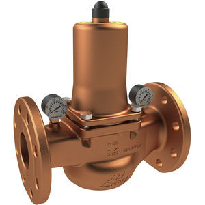 Flange pressure relief valve - All industrial manufacturers