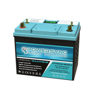 LiFePO4 battery - LFPG12.8-50 - POWERSYNC Energy Solutions - prismatic ...