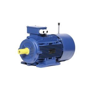Induction brake motor - All industrial manufacturers