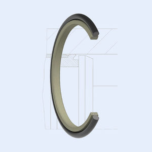 Lip seal - TDI series - Hunger - C-ring / polyurethane / PTFE