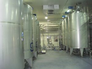 Mascarpone cheese production line - Sordi SRL - automatic