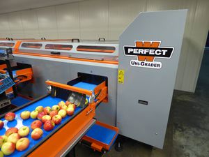 Fruit grader, Fruit grading machine - All industrial manufacturers