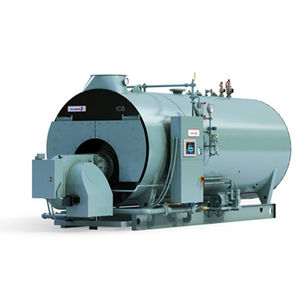 Thermal fluid boiler - Max-Flow® - Cleaver-Brooks - hot water / gas ...