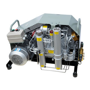 Piston compressor - BW-2 series - Wenling Toplong Electrical ...