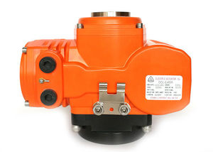 Compact valve actuator - DCL-02 - Dynamic Corporation Limited ...