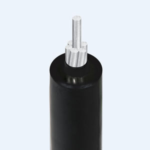 Power cable - CXV/DSTA – W - Thinh Phat Cables Joint Stock Company ...