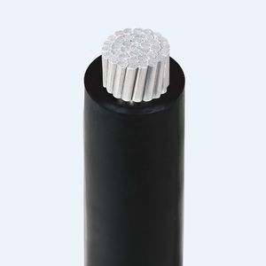 Power cable - CXV/DSTA – W - Thinh Phat Cables Joint Stock Company ...