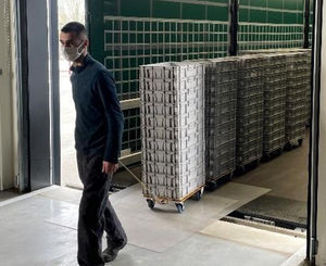 Labadis: Packing - Handling - Logistics - DirectIndustry